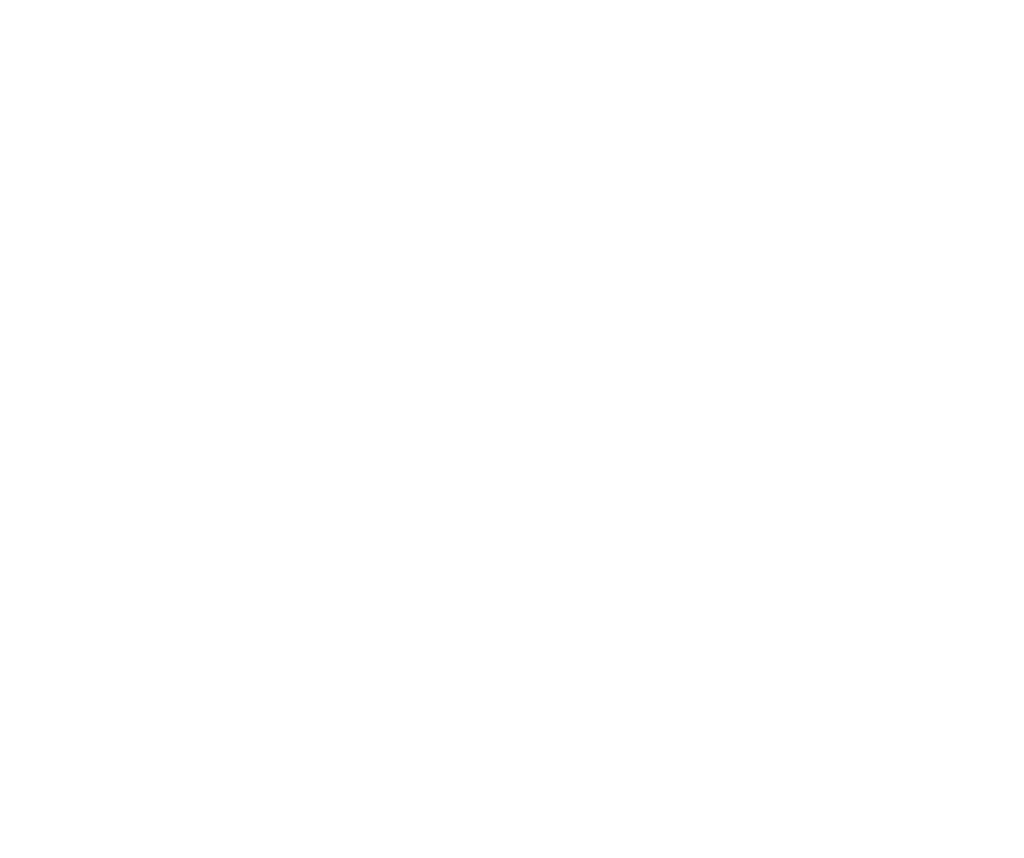 Marinus Munk - Aalborg Håndbold