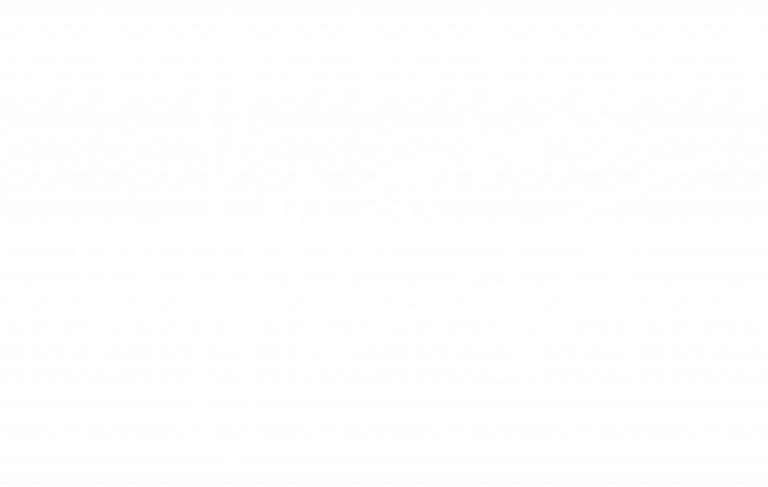 Marinus Munk - Aalborg Håndbold